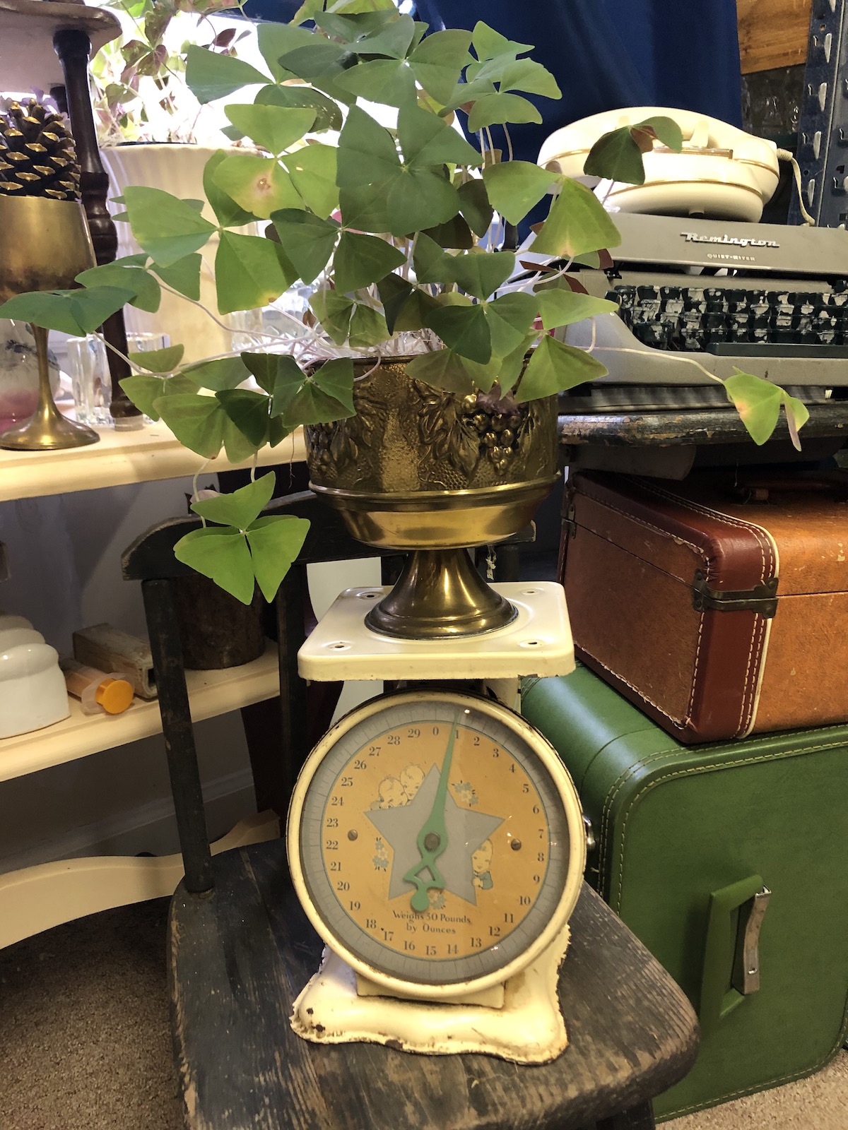 Vintage Feature - A Message Found in a Vintage Vase (and a Few More ...