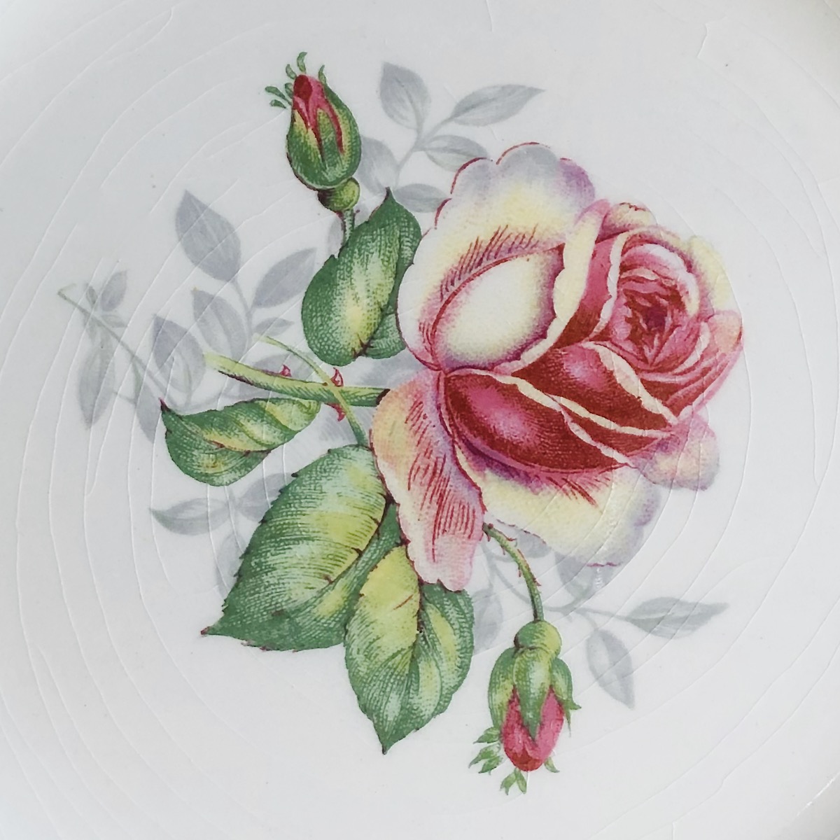 Vintage Feature - The Salem China Company - Southern Vintage Table