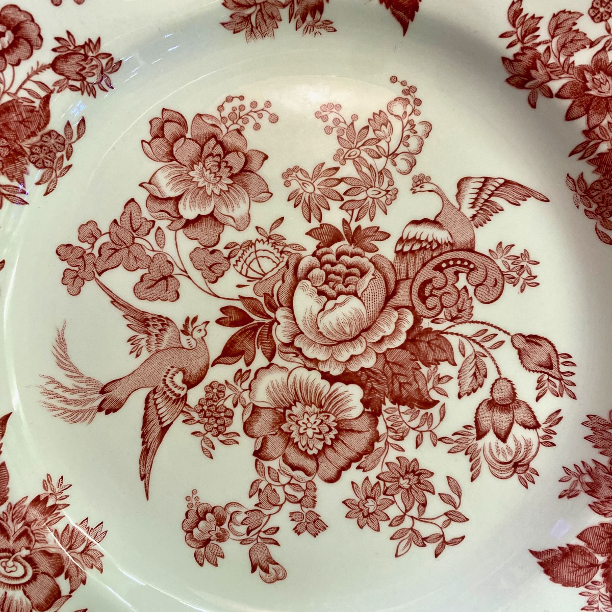 Vintage Features - Birds of Different Feathers - Southern Vintage Table