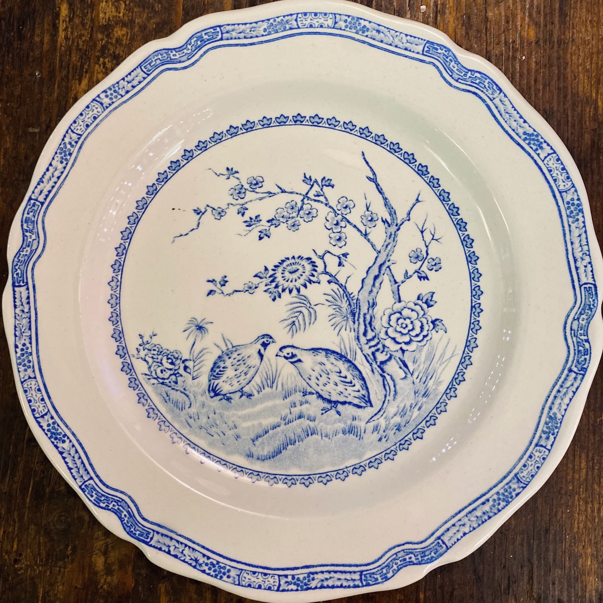 Vintage Features - Birds of Different Feathers - Southern Vintage Table